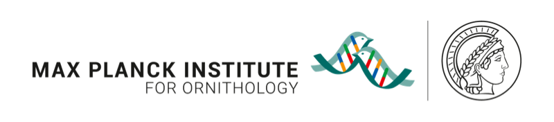 Sparrows Archive - Dawn Chorus