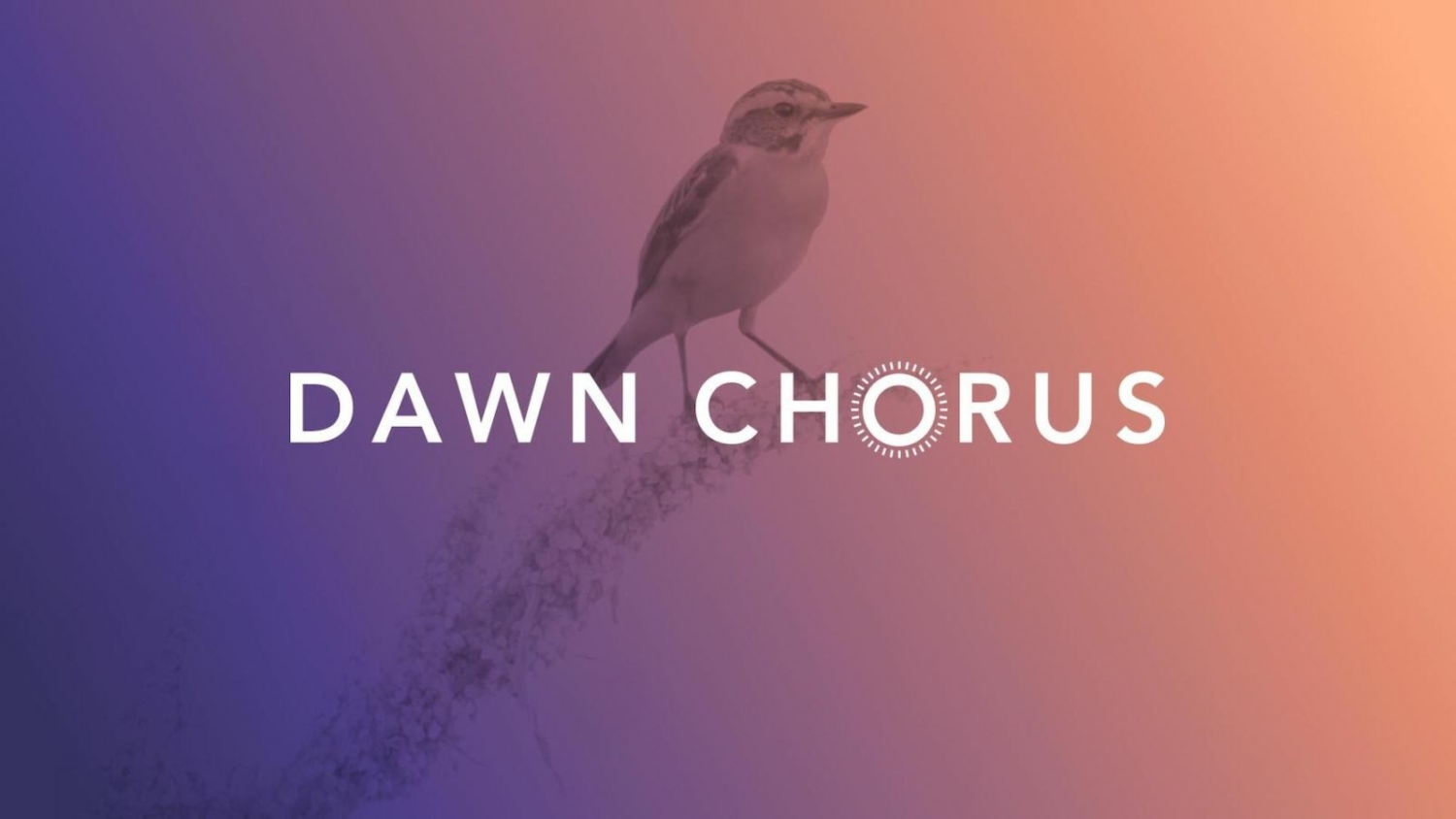 Dawn Chorus - Dawn Chorus 2020 - Report de - Citizen Science