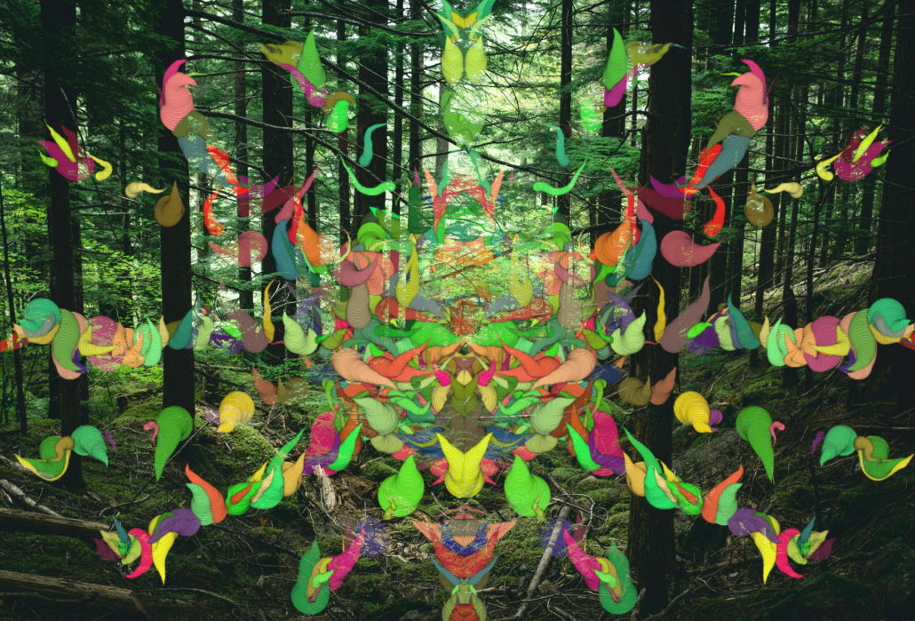 Dawn Chorus - Presse - Citizen Science